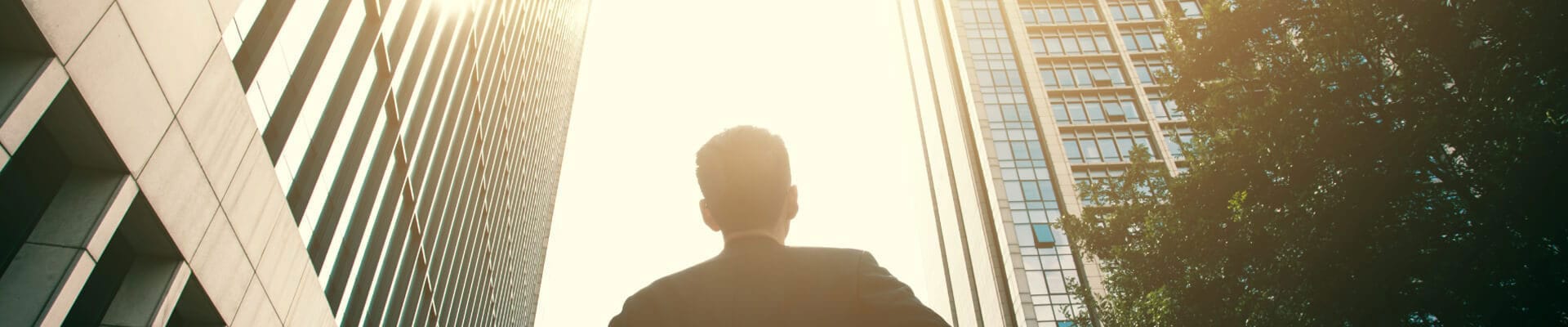 Freeman Webb Company - Commercial